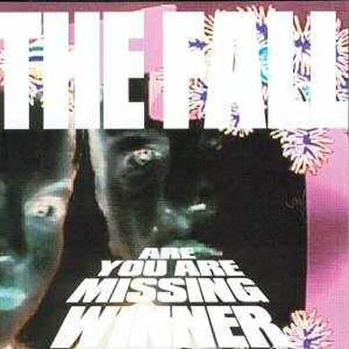 Best Buy: Are You Are Missing Winner [CD]