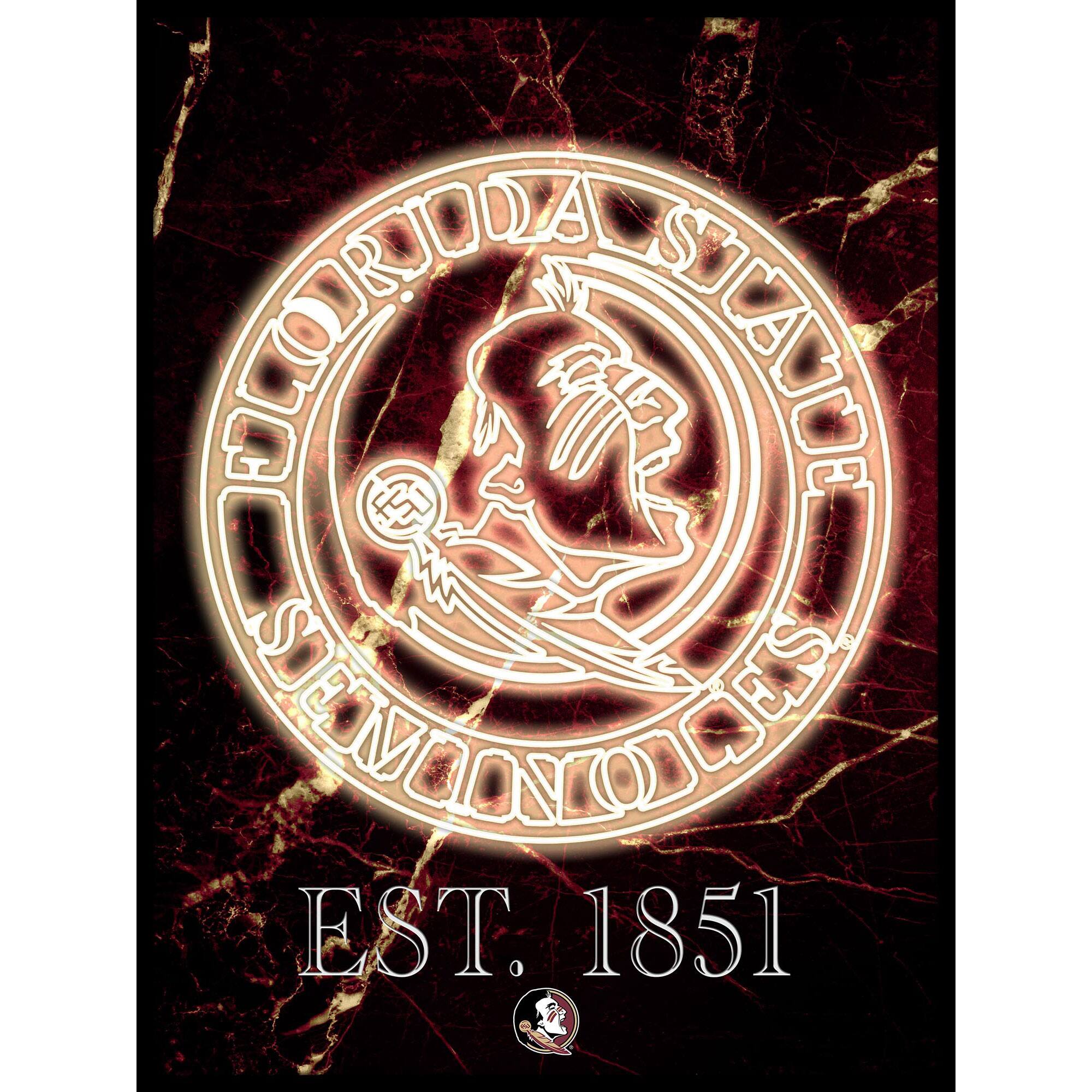 Fan Creations Florida State Seminoles 12'' x 16'' Framed Circle Logo ...