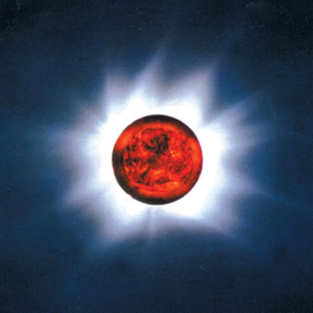 Best Buy: Infinite Motion [CD]