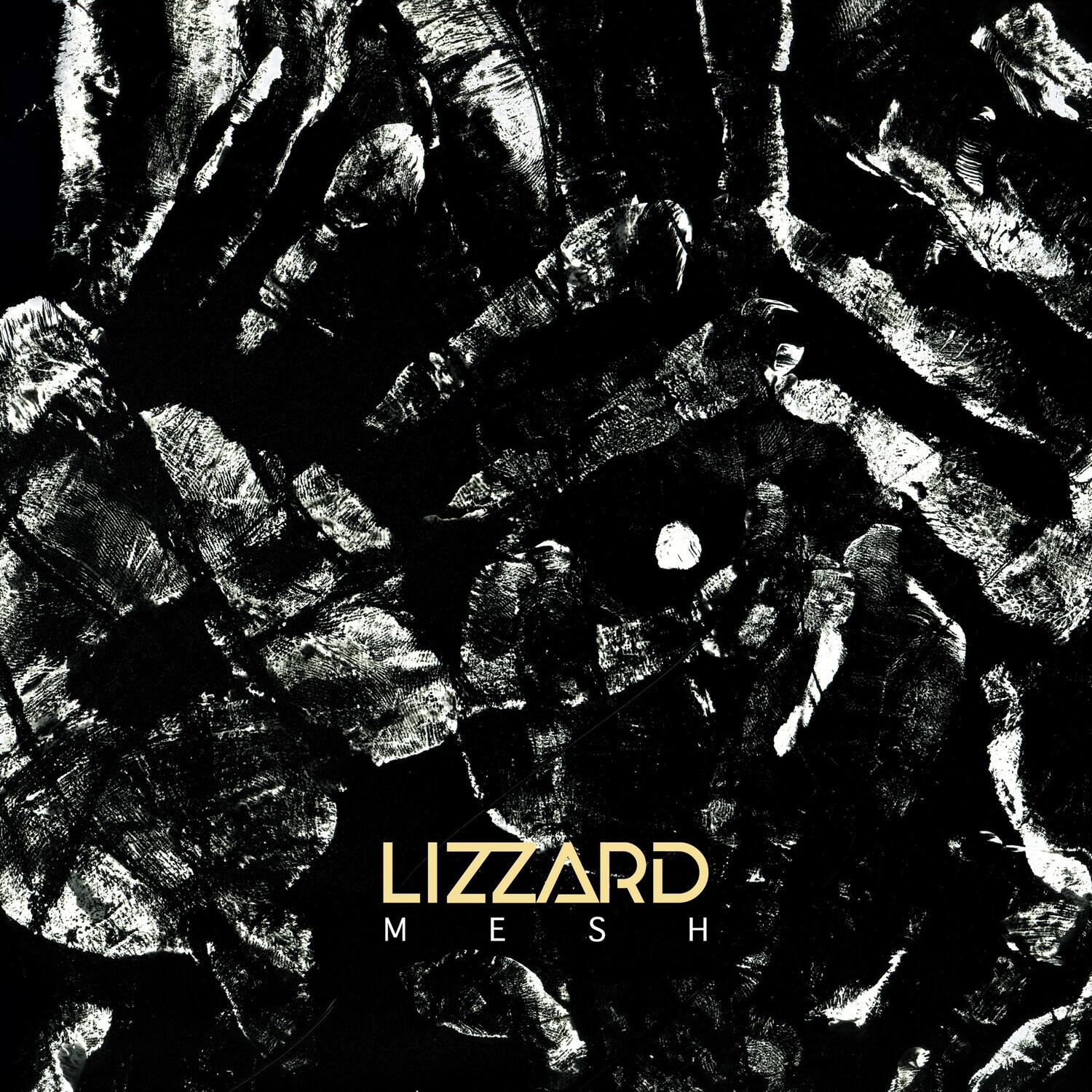 Lizzard Mesh COMPACT DISCS [CD] - Best Buy