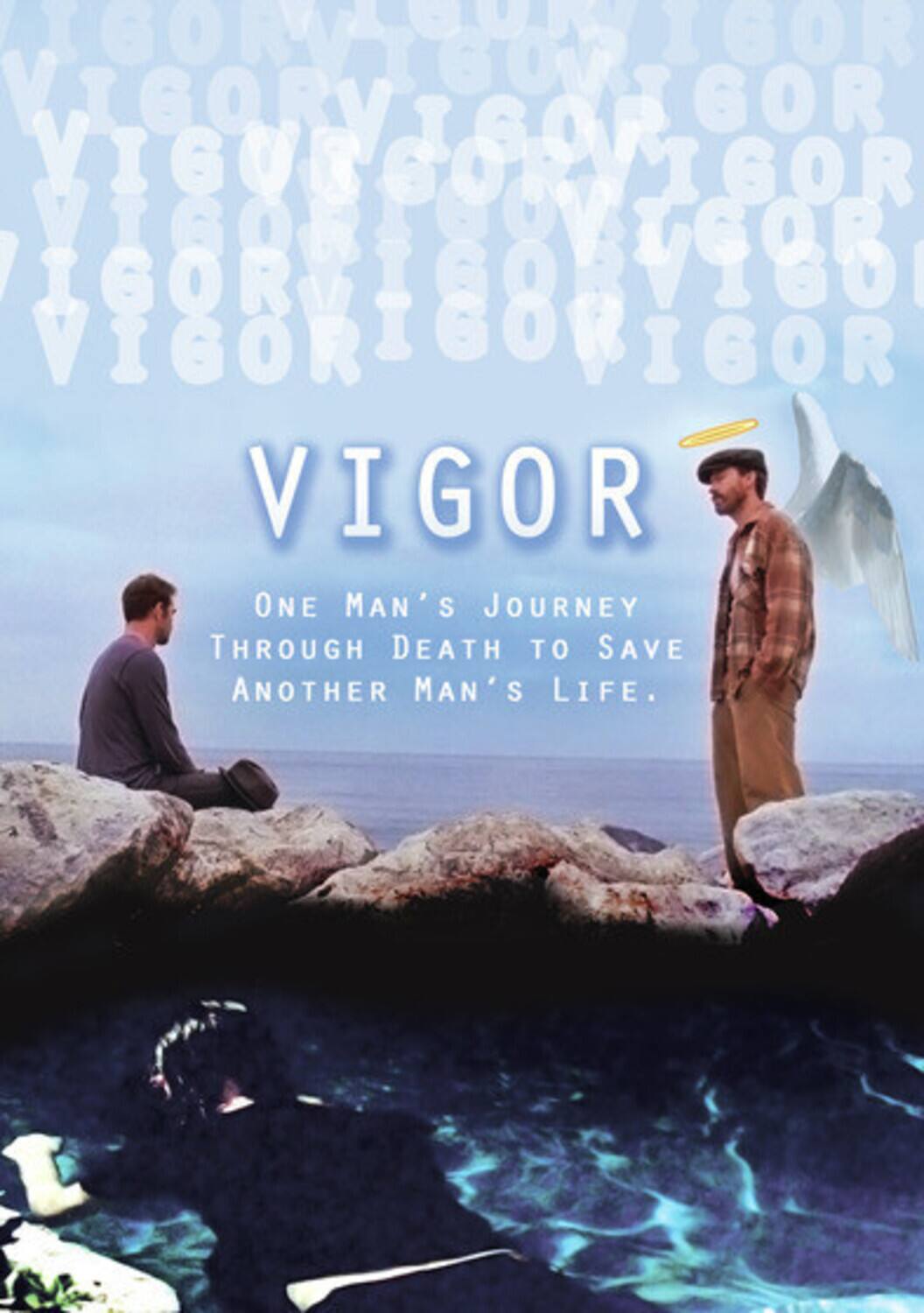 Vigor DVD - Best Buy