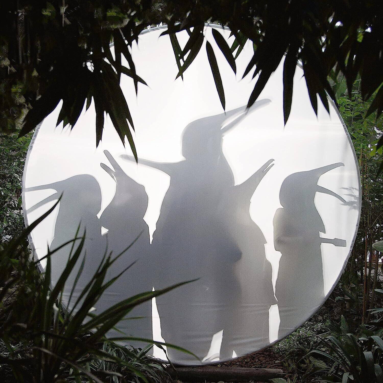 Penguin Cafe Rain Before Seven... COMPACT DISCS [CD] - Best Buy