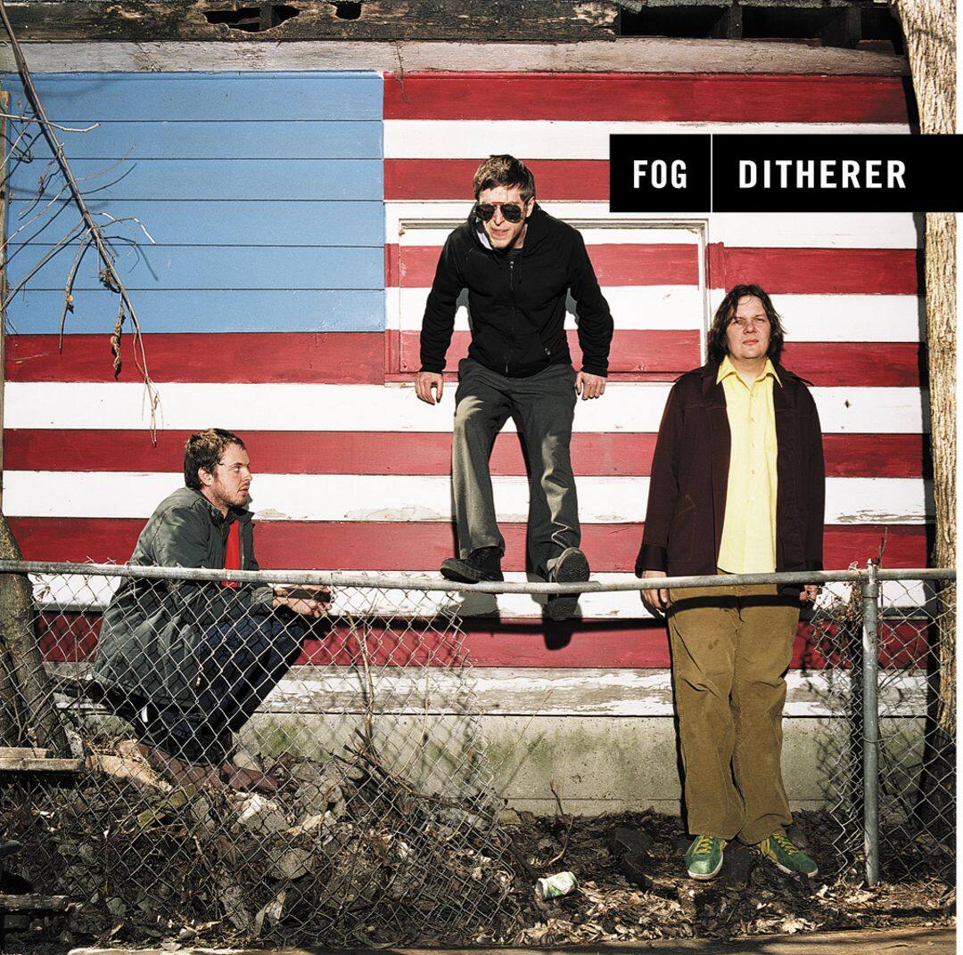 Ditherer [LP] VINYL - Best Buy