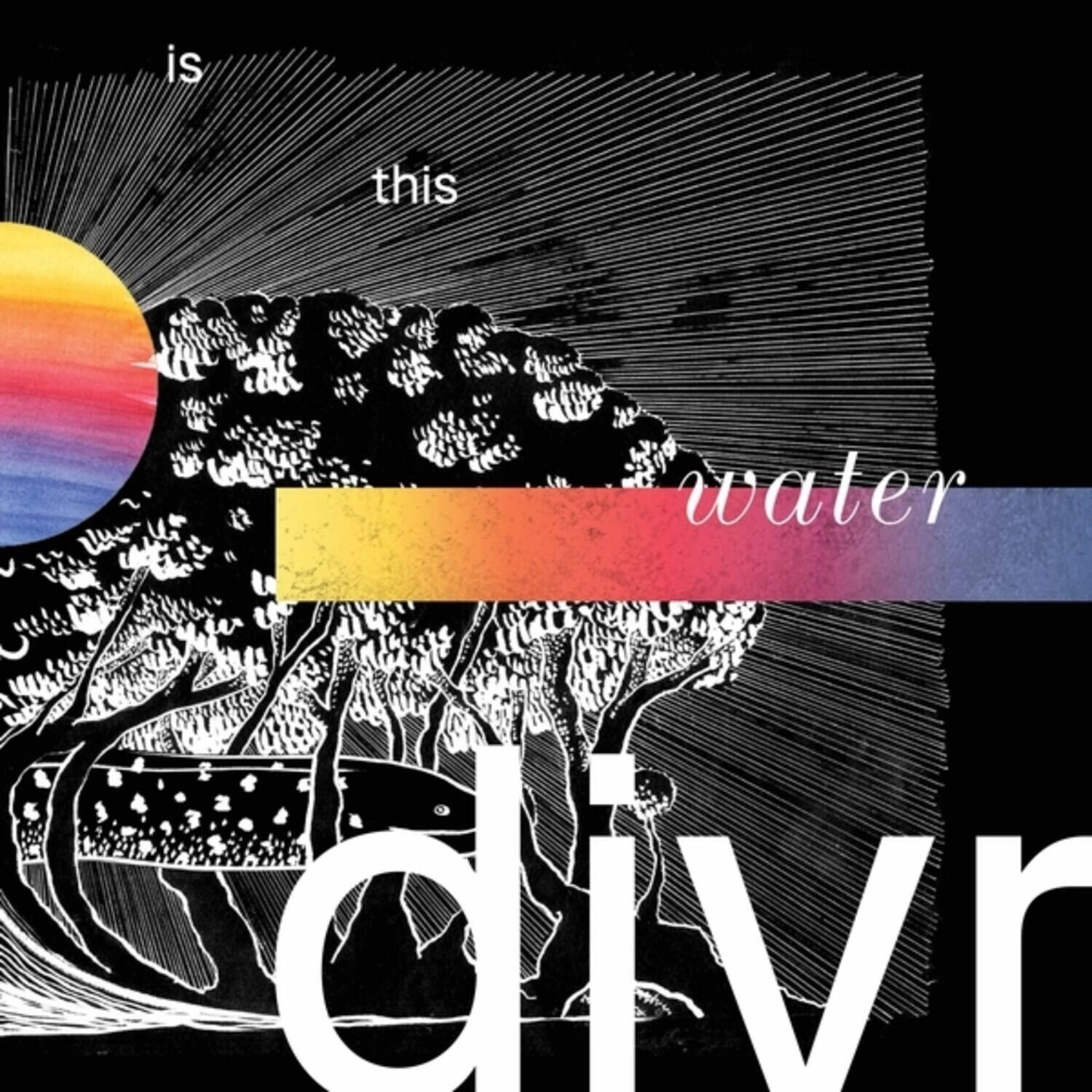 Divr Is This Water COMPACT DISCS [CD] - Best Buy
