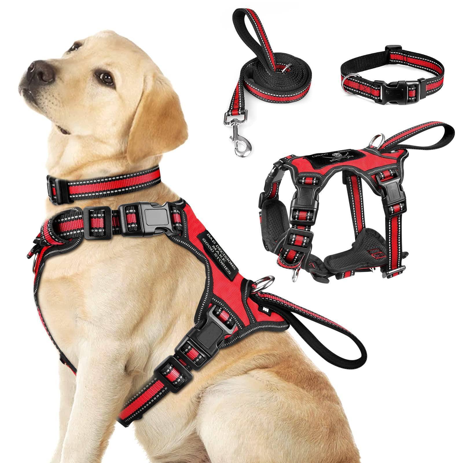 Paradigms Interiors Pet Harness Collar And Leash Set All in one ...