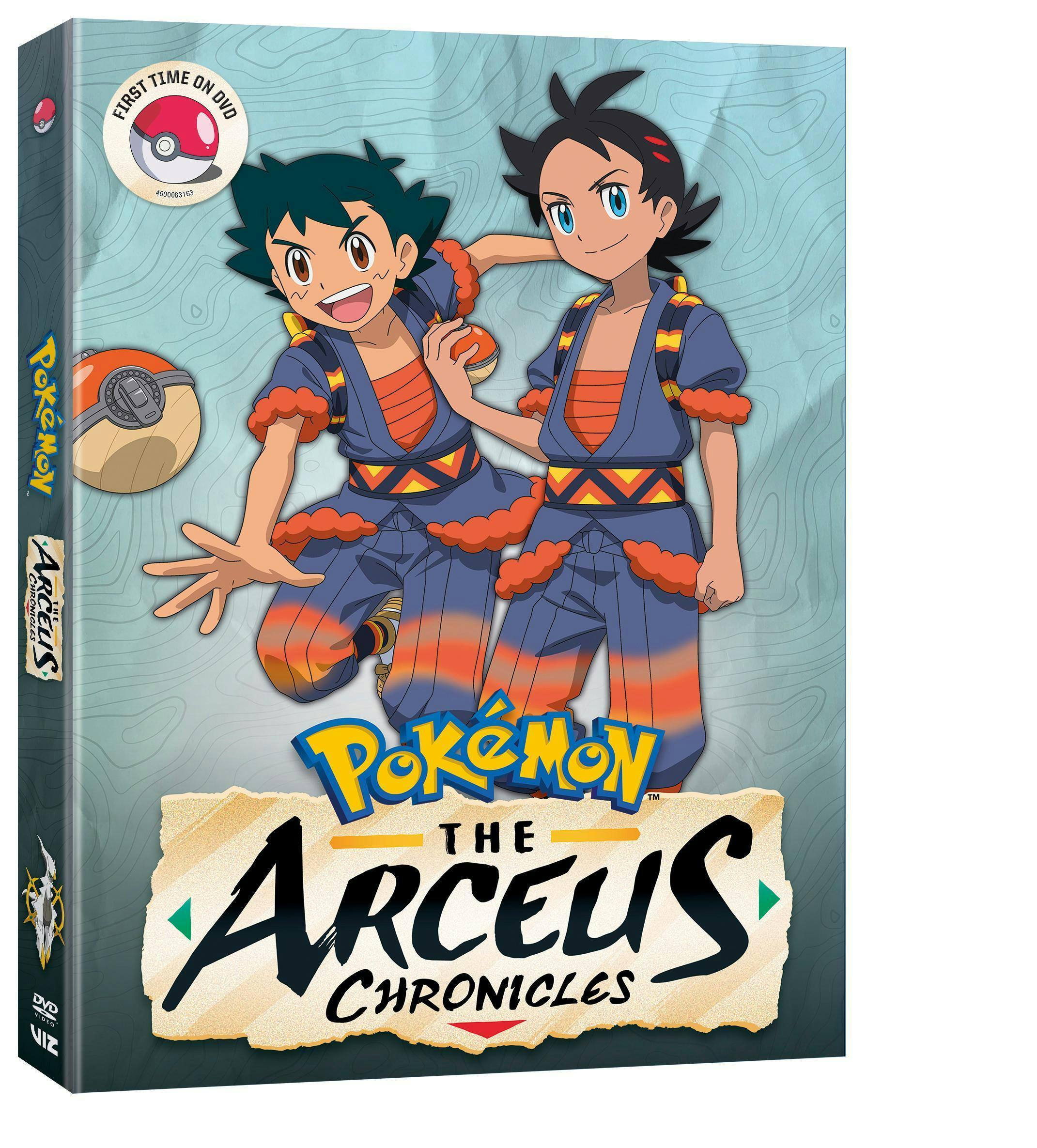 Pokémon: The Arceus Chronicles [DVD] [Standard] - Best Buy