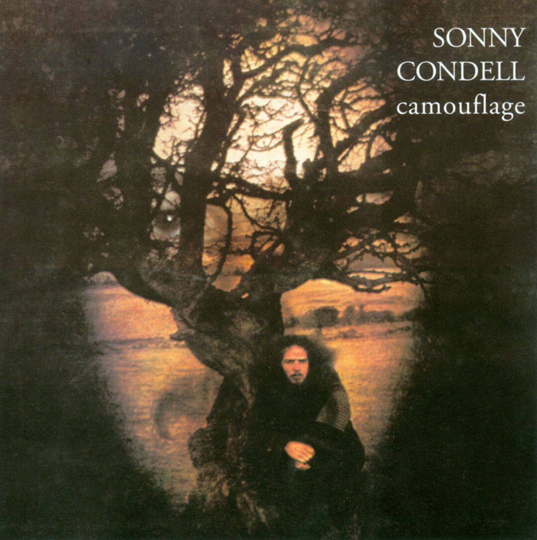 Best Buy: Camouflage [CD]