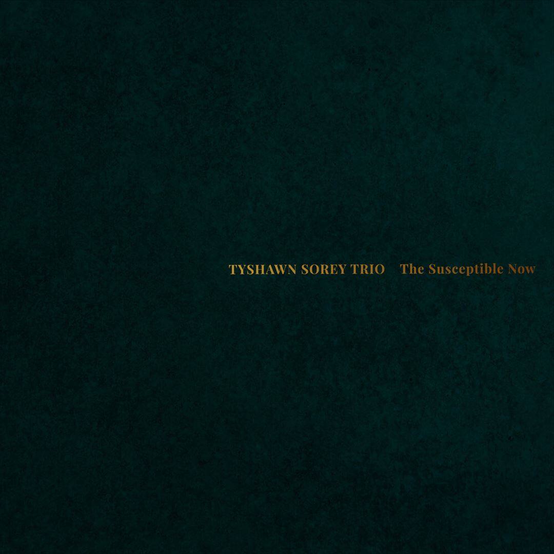 The Susceptible Now [LP] VINYL - Best Buy