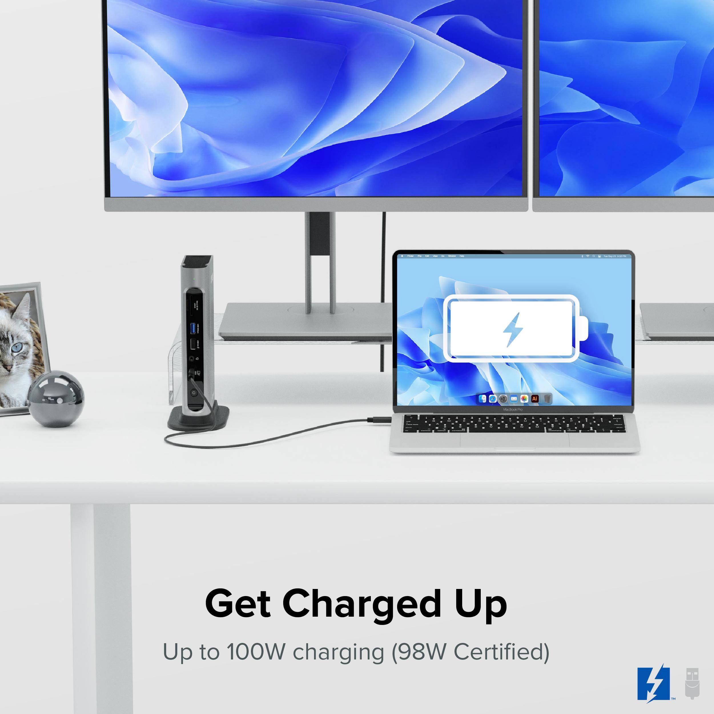 Plugable 16 in 1 Thunderbolt 4 Dock with 100W Charging, 4K Quad Monitor ...