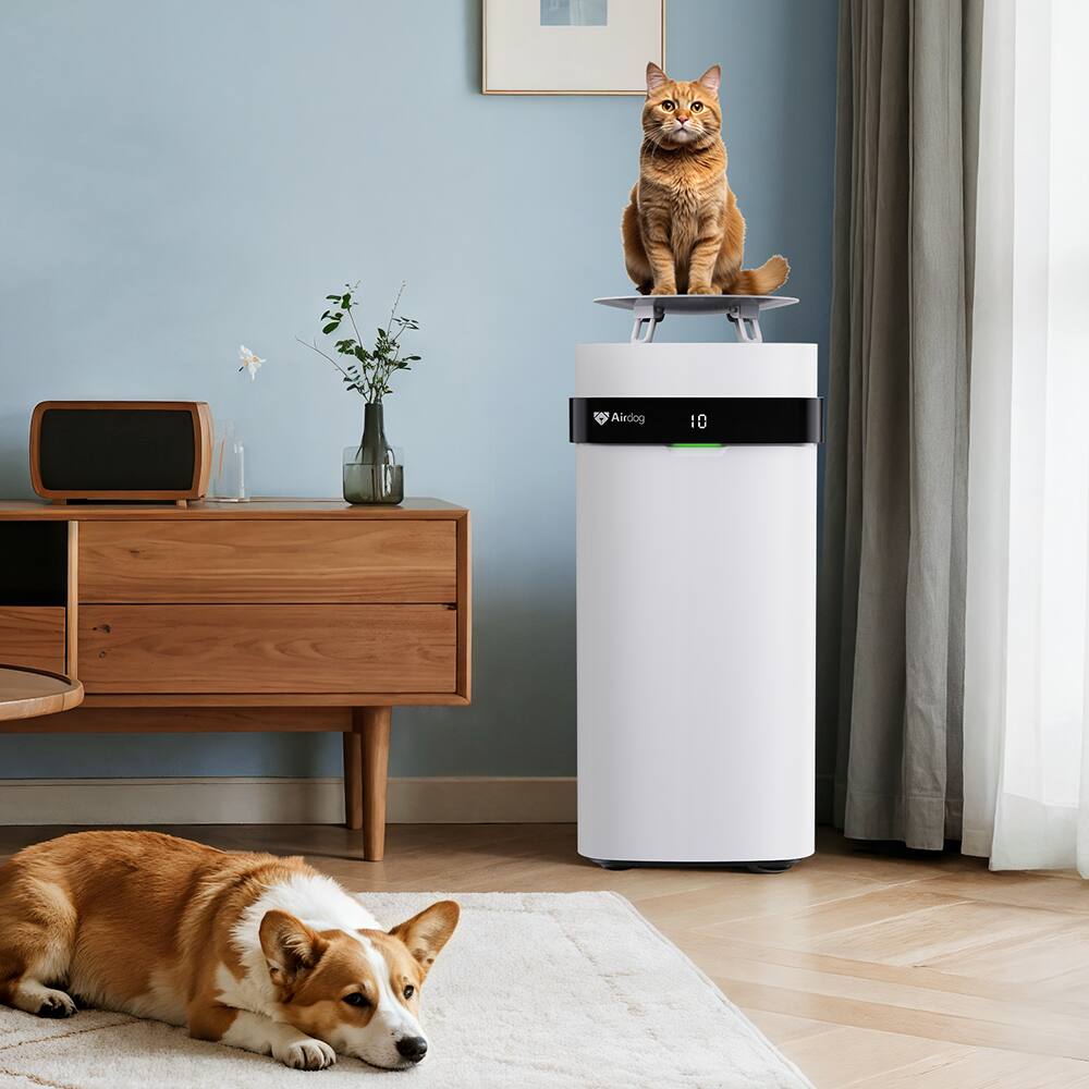 Airdog Pet Air Purifier for Home Large Room with Washable filter, TPA ...