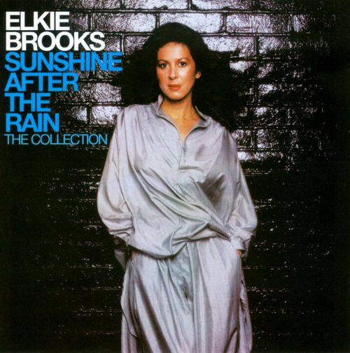 Best Buy: Sunshine After the Rain: The Collection [CD]