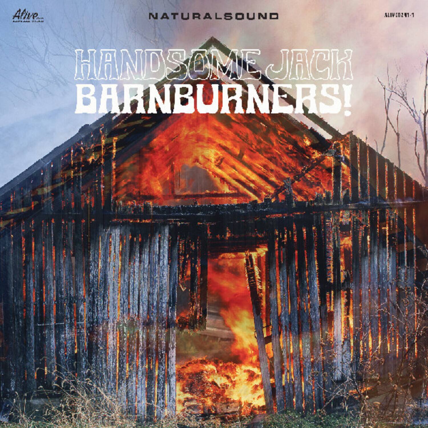 Handsome Jack Barnburners! VINYL LP - Best Buy