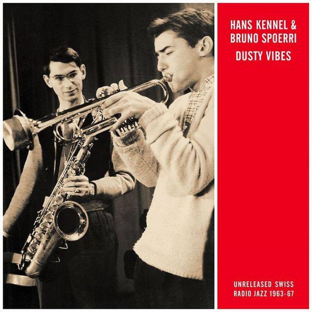 Best Buy: Dusty Vibes [LP] VINYL