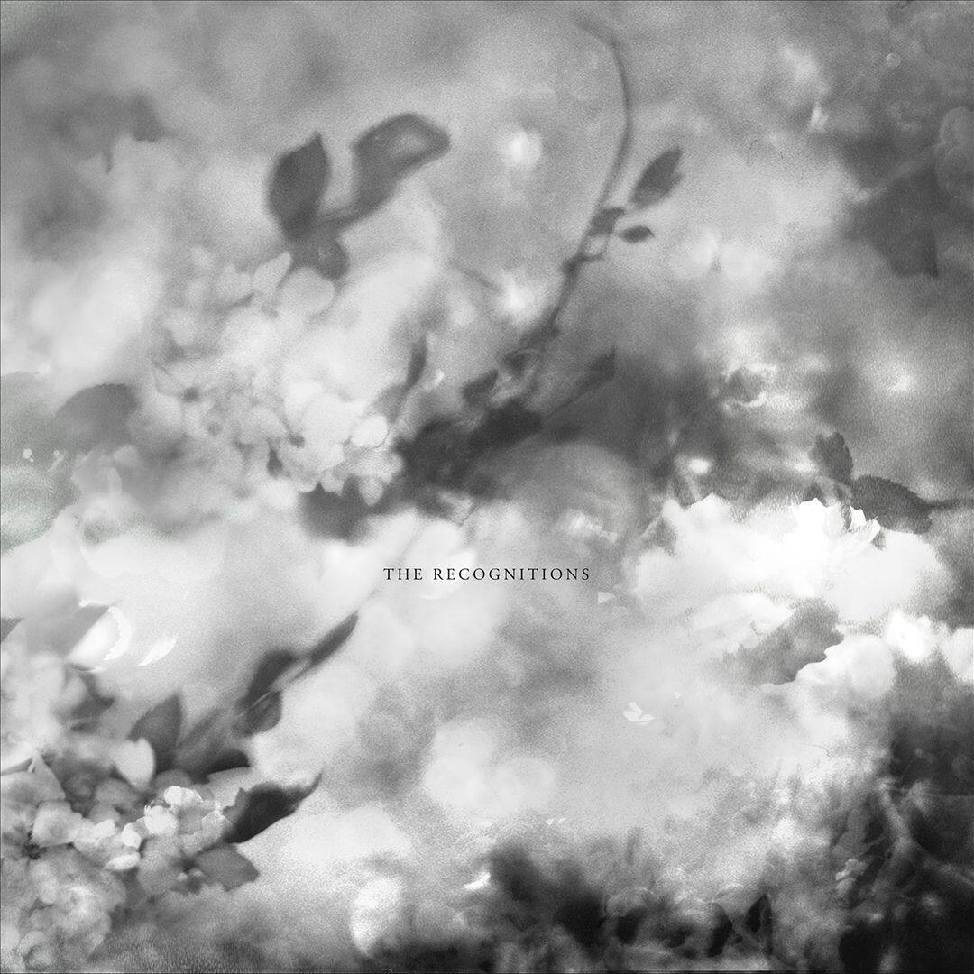 The Recognitions [LP] VINYL - Best Buy