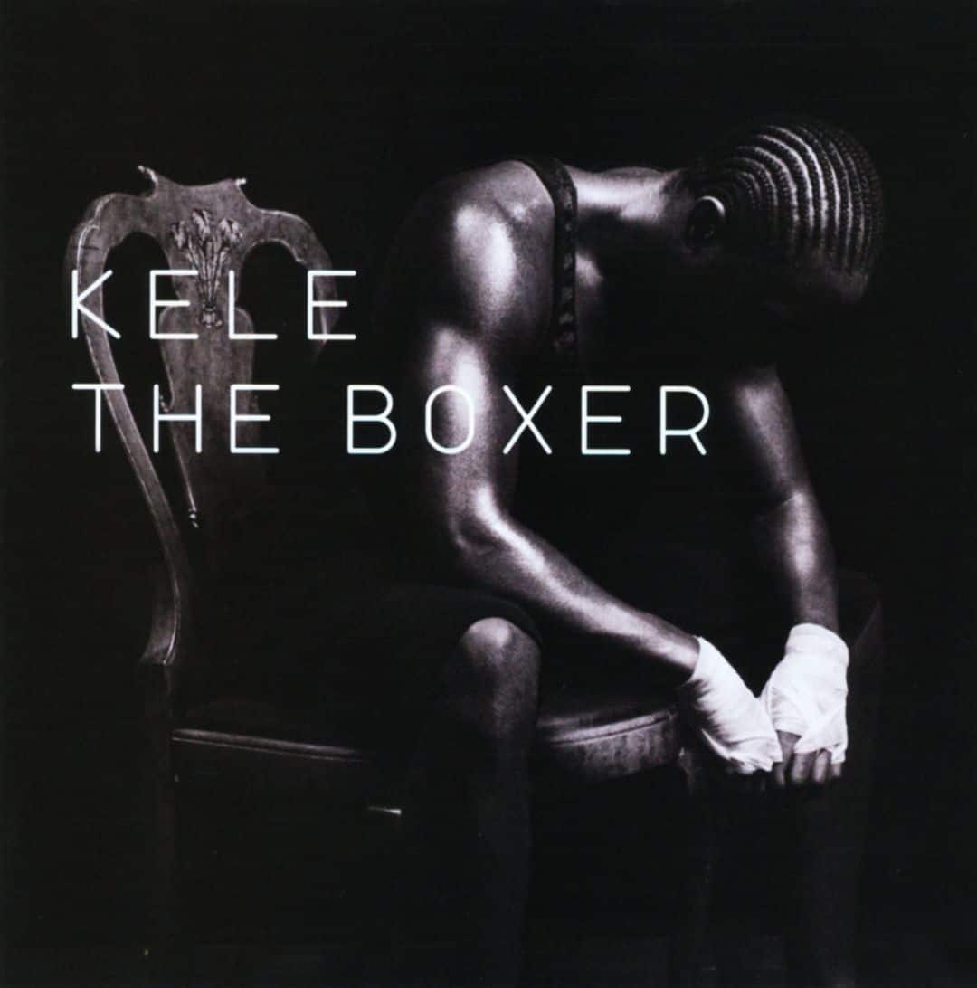 Best Buy: The Boxer [LP] VINYL