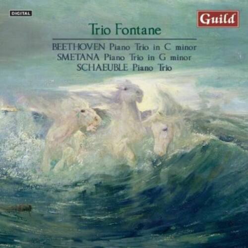 Trio Fontane Piano Trio in C minor Op 1 COMPACT DISCS [CD] - Best Buy