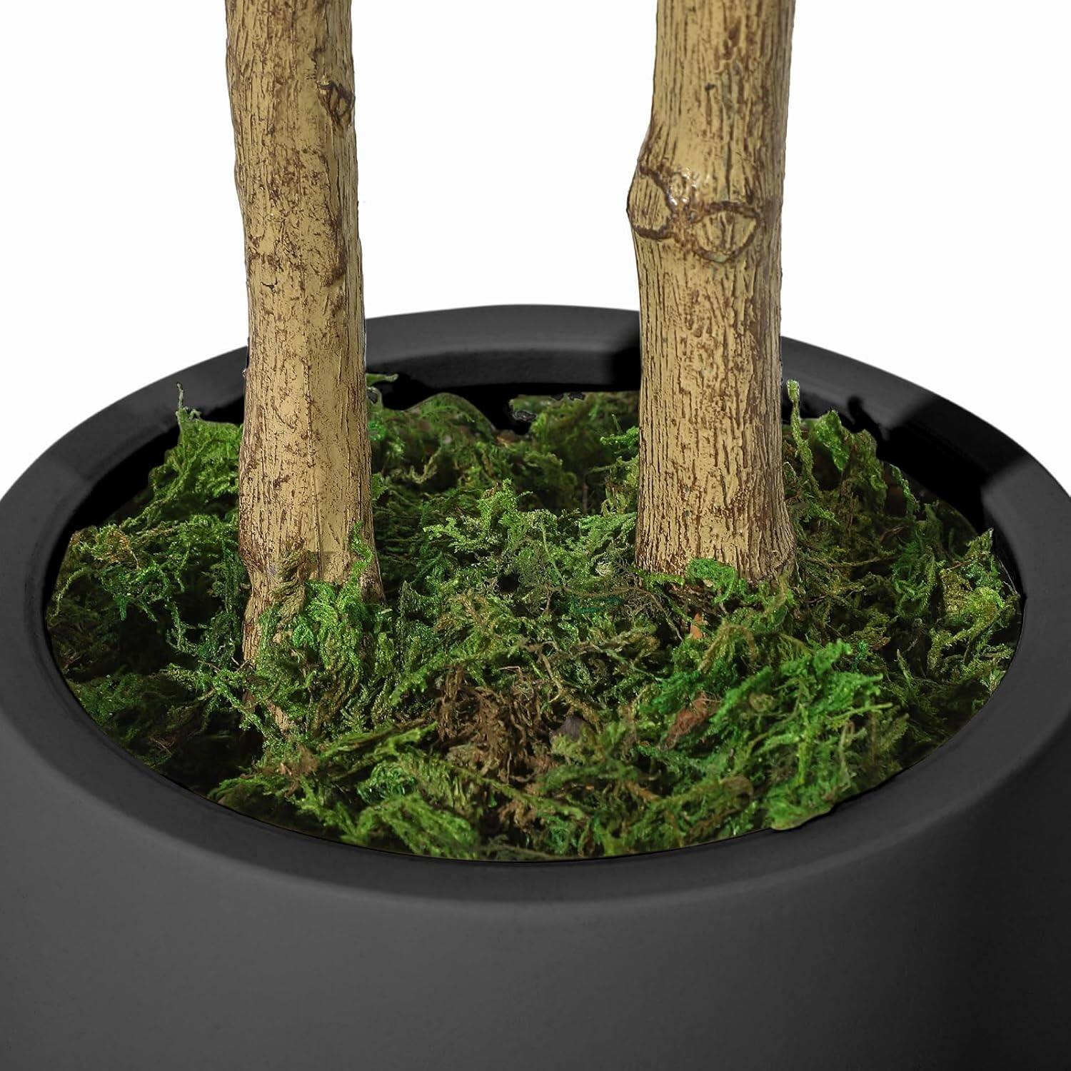 Homhougo Ficus Artificial Tree 6FT Tall Faux Ficus Tree with Black ...