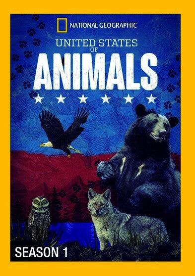 United States Of Animals Season 1 DVD - Best Buy