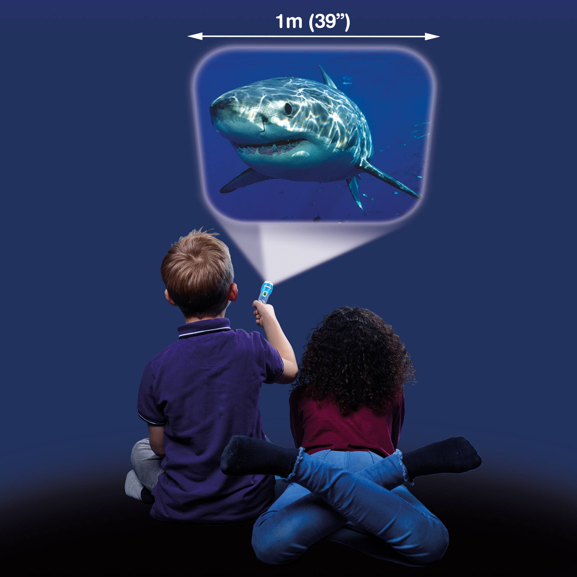 Brainstorm Limited Brainstorm Toys: Shark Torch & Projector Ages 3 ...