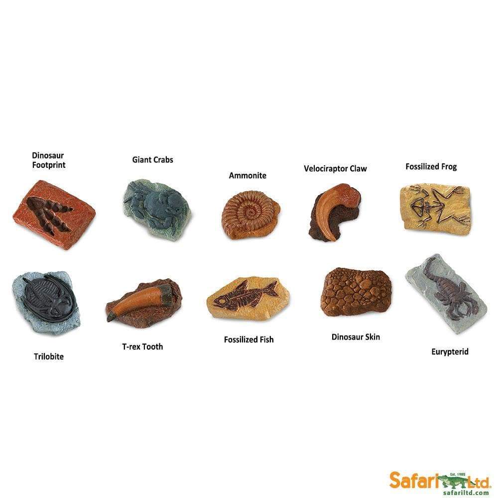 Safari Ltd. Ancient Fossils Toob Toy - Best Buy