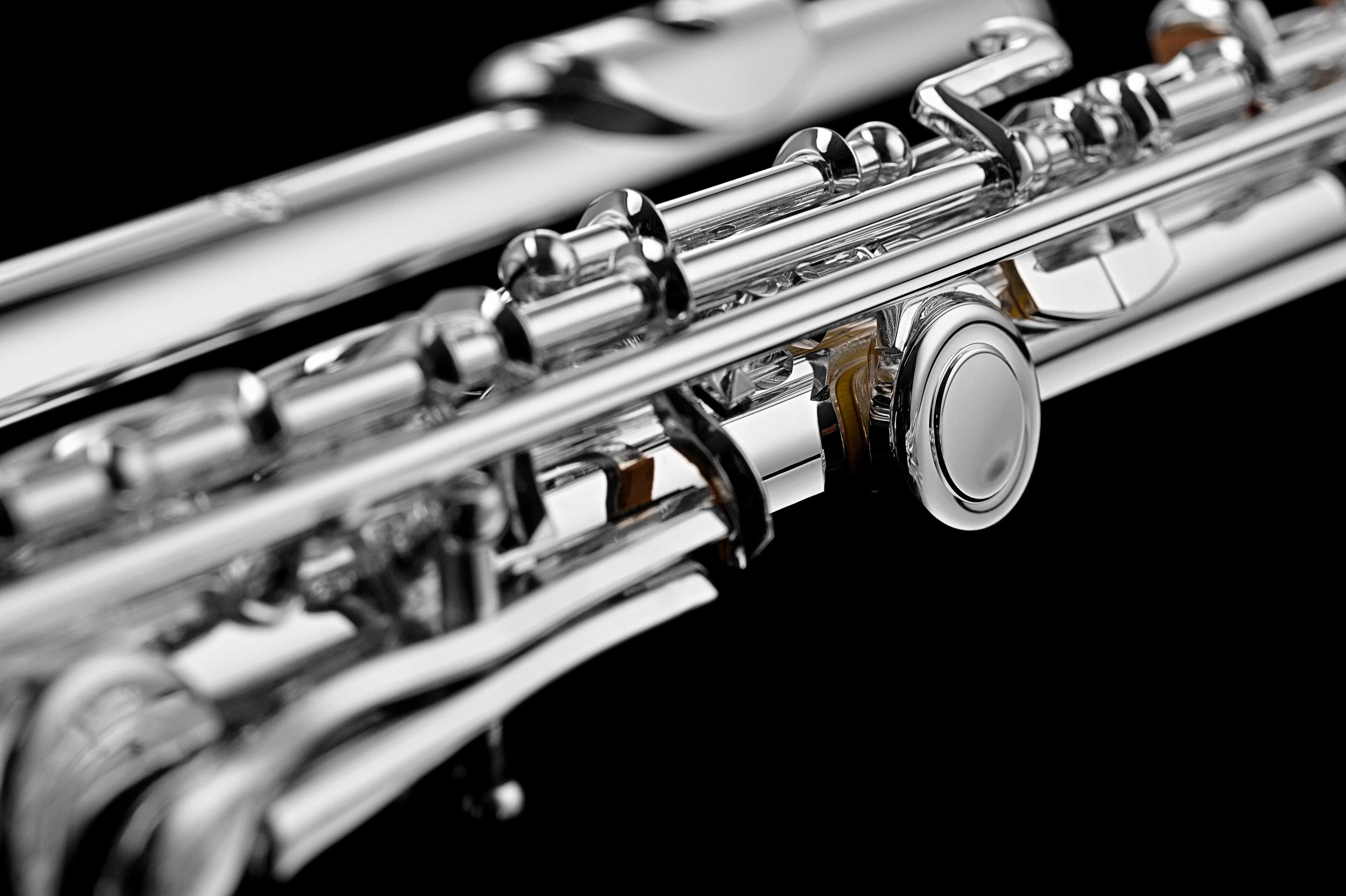 Di Zhao Flutes DZ 301 COA Student Flute | Closed Hole | Offset G | C ...