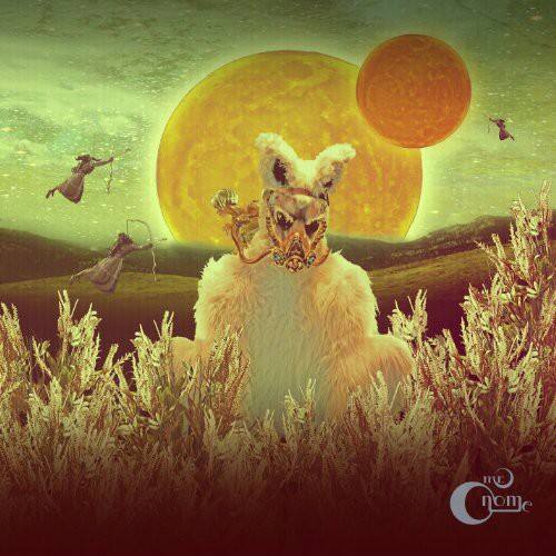 Mr. Gnome Madness in Miniature VINYL LP - Best Buy