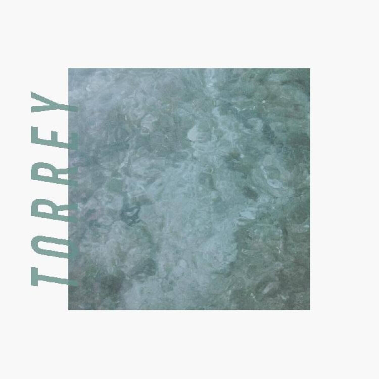 Torrey Torrey COMPACT DISCS [CD] - Best Buy