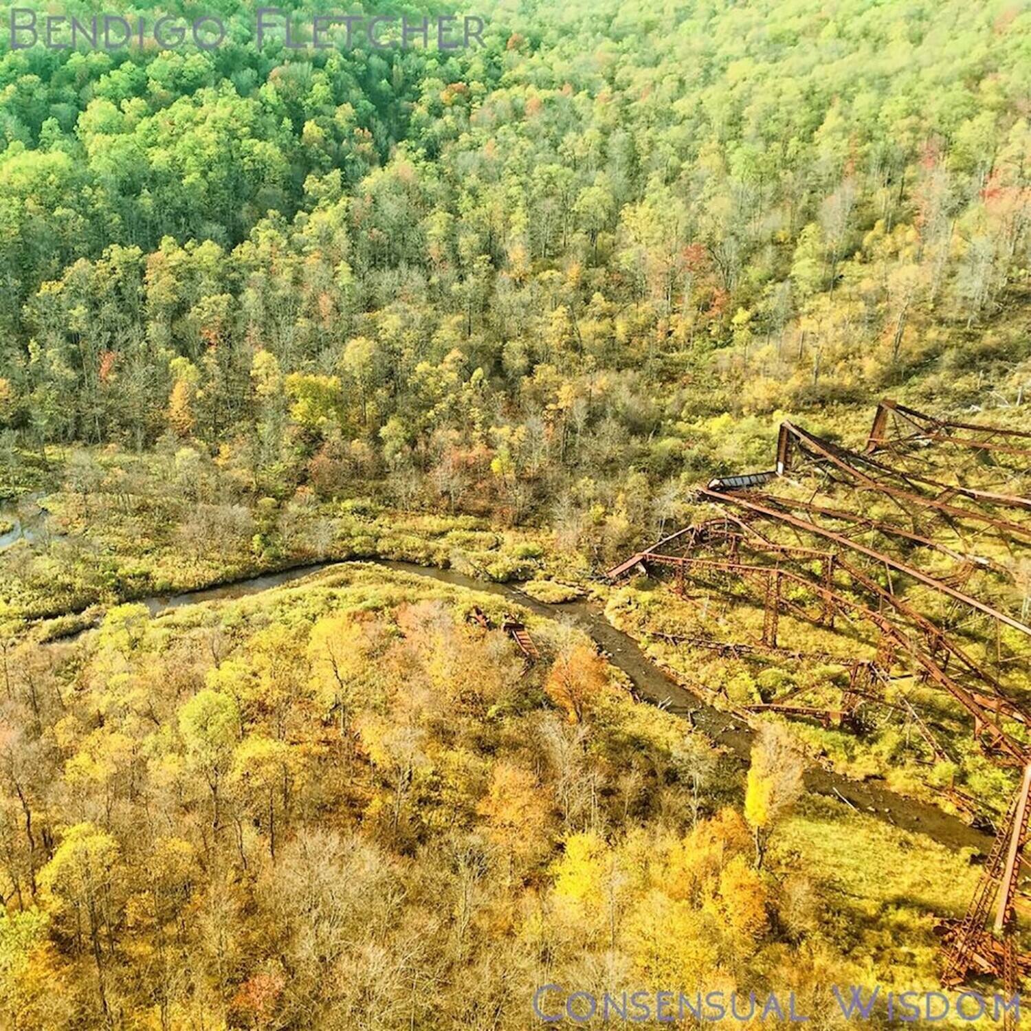 Bendigo Fletcher Consensual Wisdom Beige VINYL LP - Best Buy