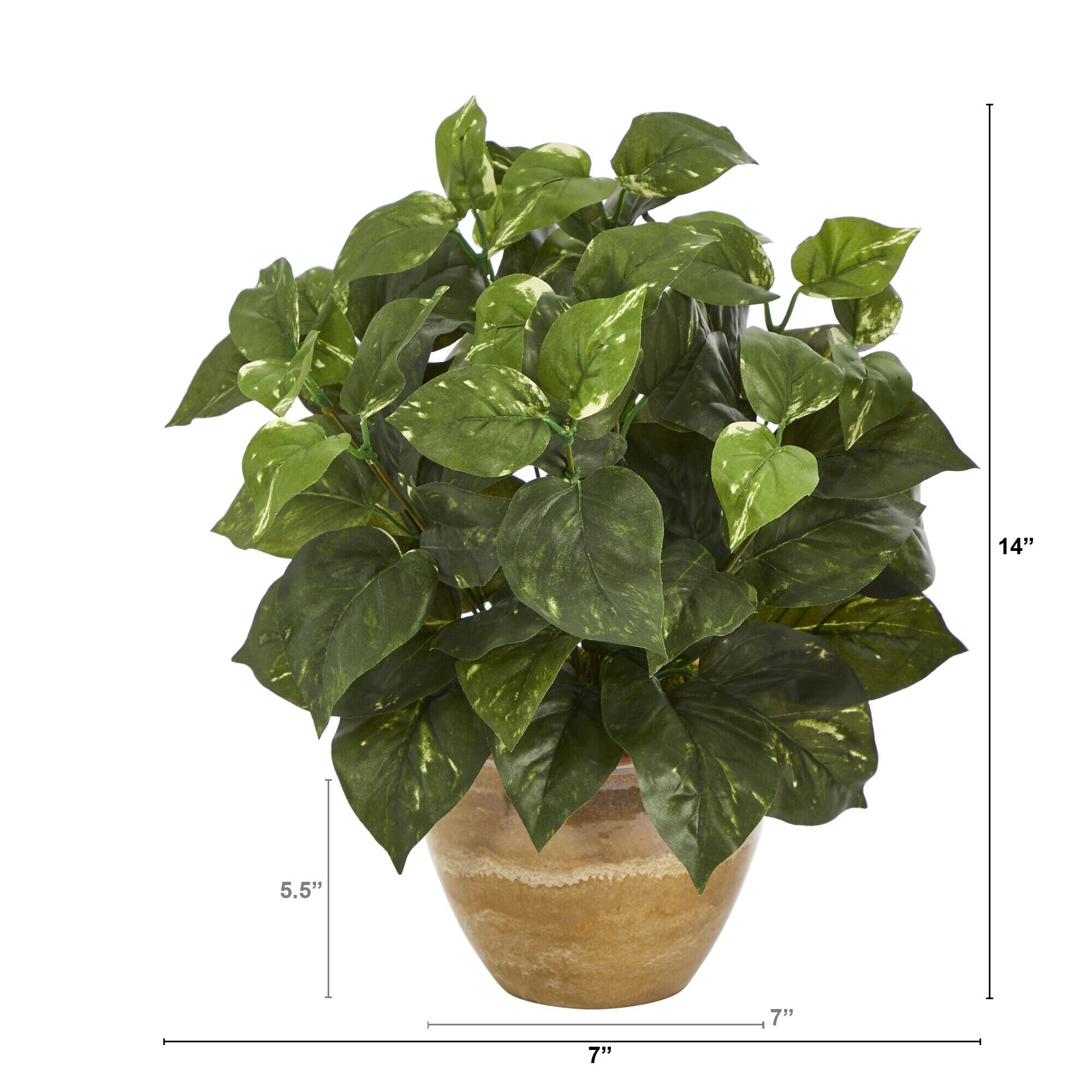 BreeBe 14" Pothos Artificial Plant in Ceramic Planter Multicolor 1 ...
