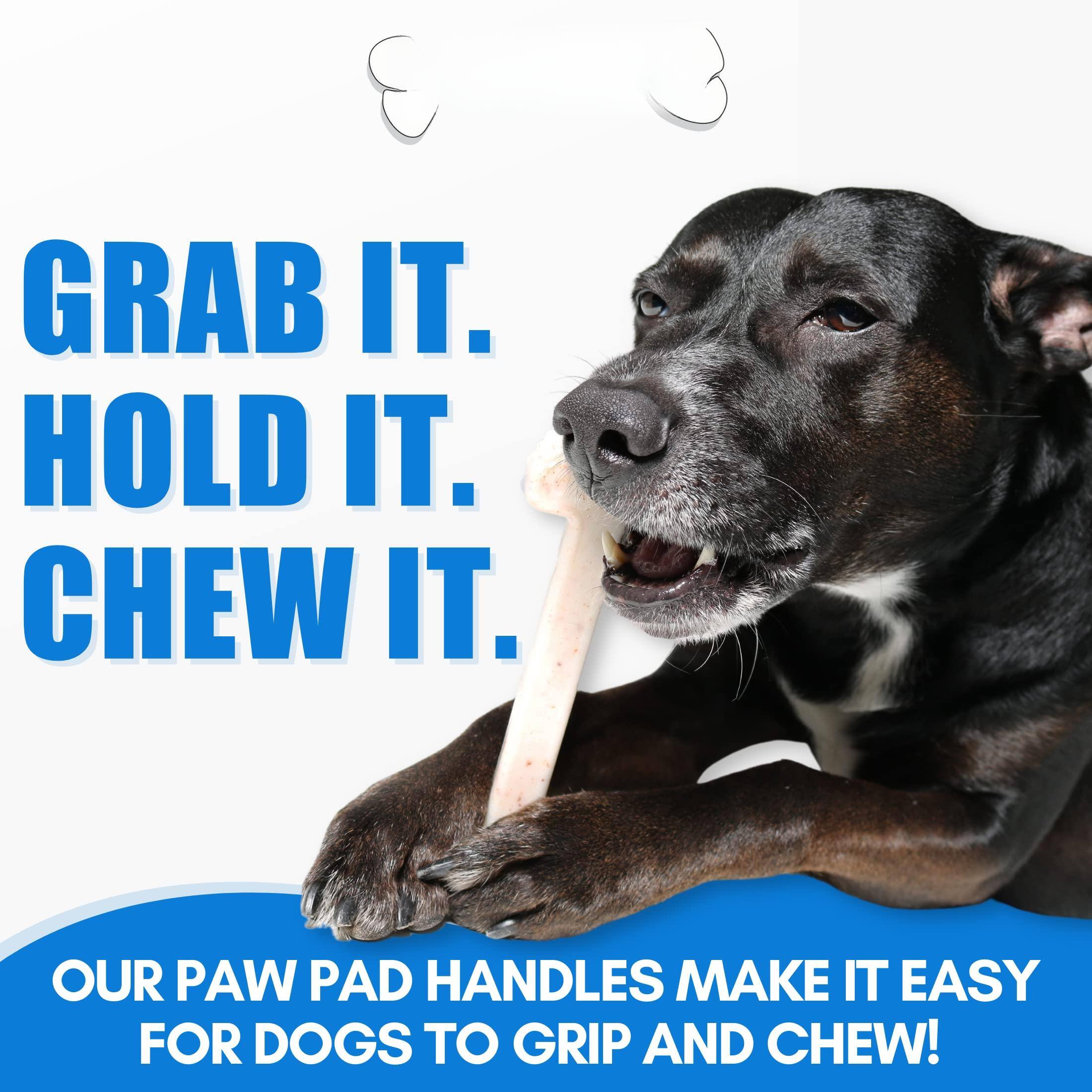 Paradigms Interiors Nylon Dog Improves Hygiene Easy To Grip Bottom And ...