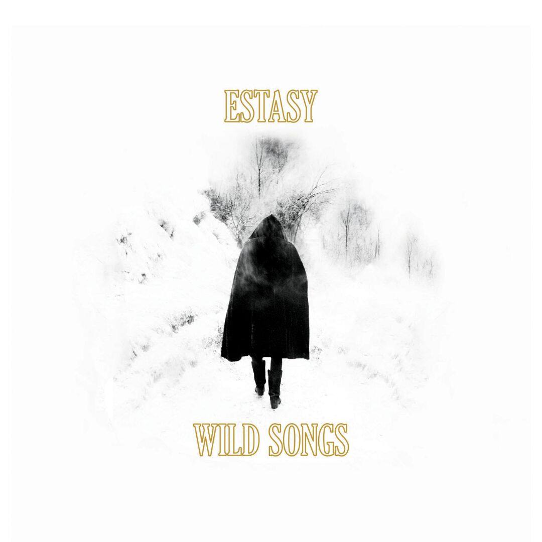 Best Buy: Wild Songs [LP] VINYL