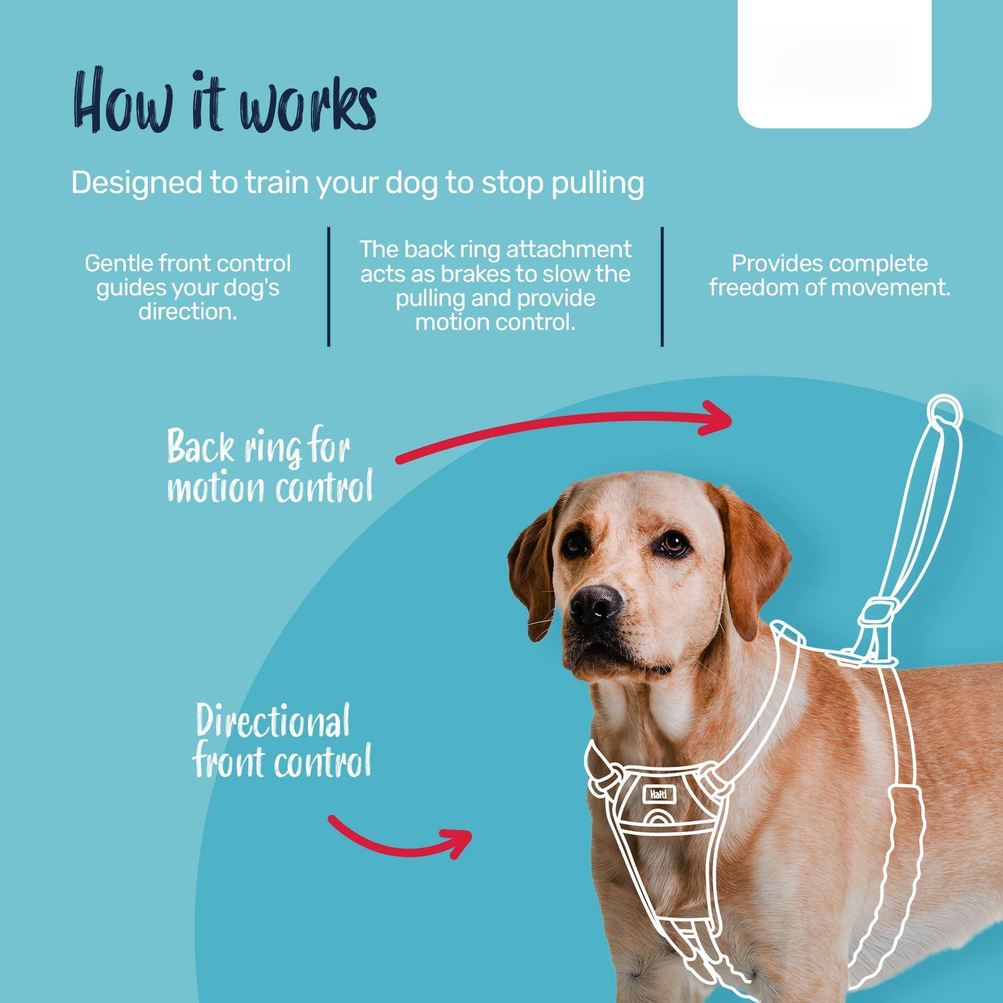 Paradigms Interiors No Pull Harness To Stop Your Dog Pulling On The ...