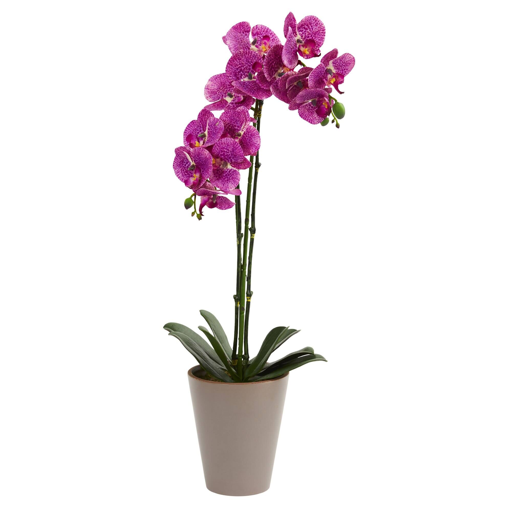 BreeBe 24" Speckled Phalaenopsis Orchid in Decorative Vase Purple 4246 ...