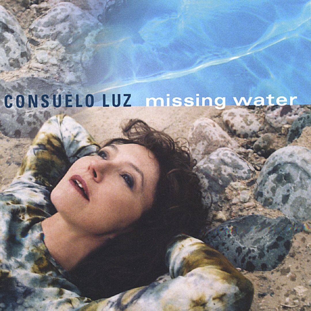 Best Buy: Missing Water [CD]