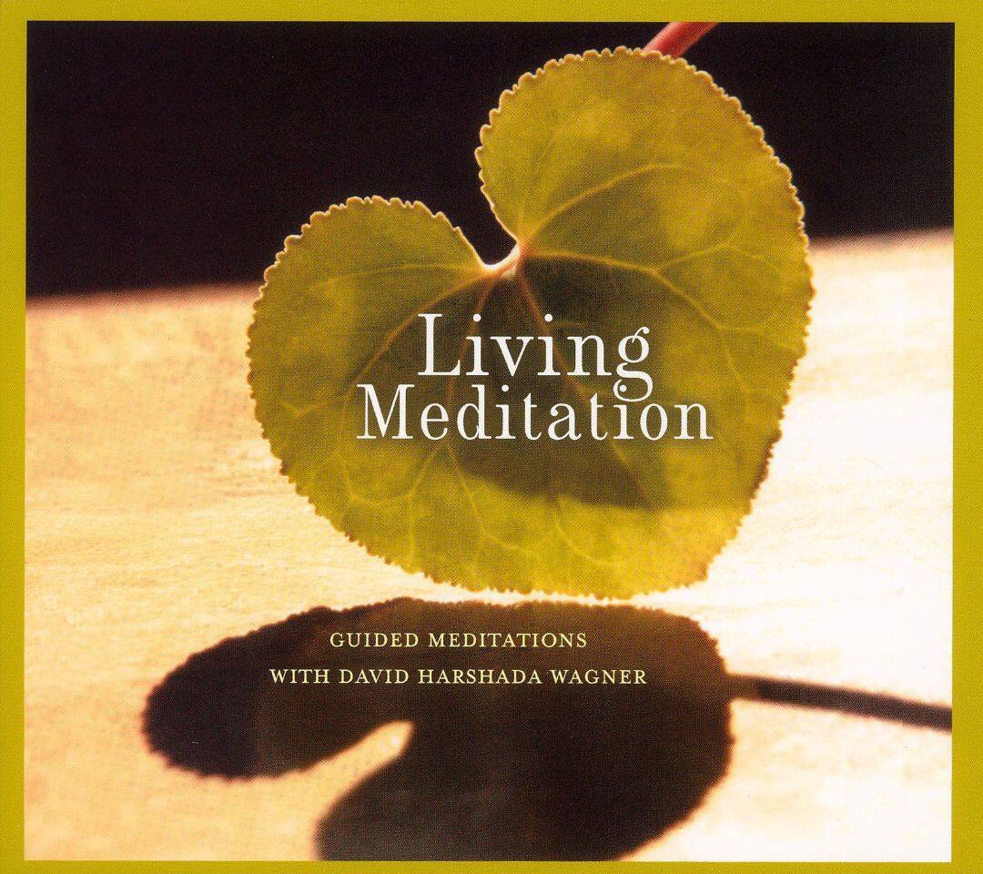 Best Buy: Living Meditation [CD]