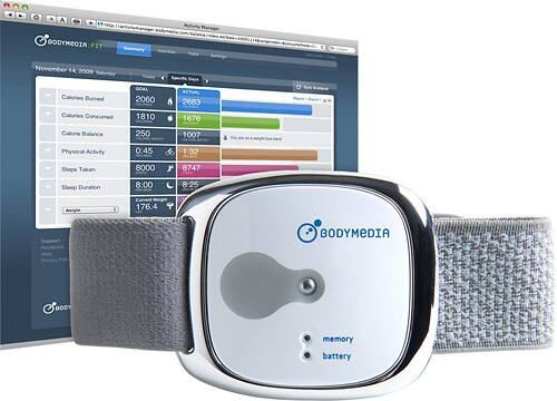 Best Buy: BodyMedia FIT Armband Gray 100668