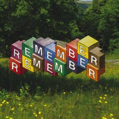 Remember Remember [CD] - Best Buy