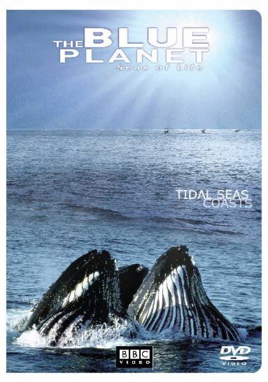 The Blue Planet: Seas of Life Tidal Seas/Coasts [DVD] [Standard] - Best Buy