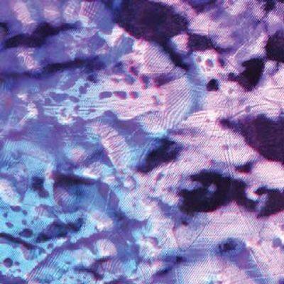 Best Buy: NVMB [Extended Play Record]