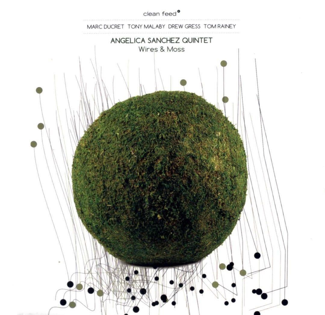 Best Buy: Wires & Moss [CD]