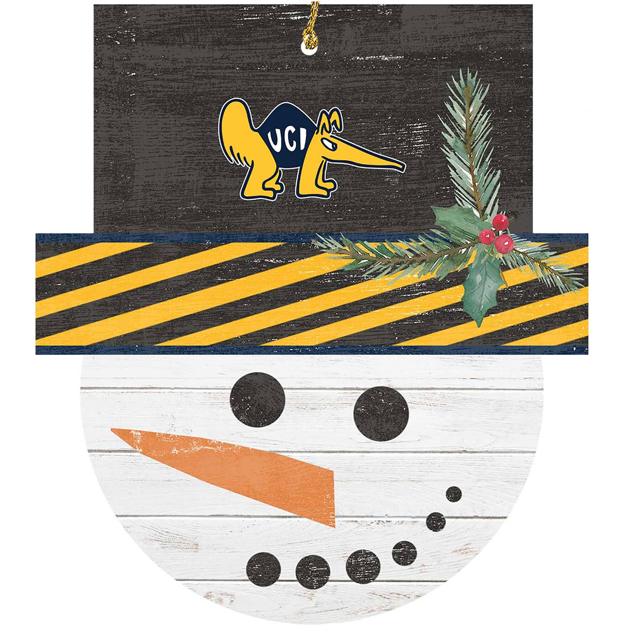 Jardine UC Irvine Anteaters Ornament Bundle White 200757685 - Best Buy