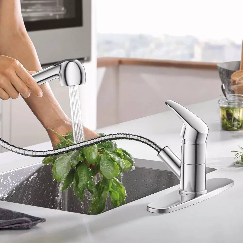 Pull Out Kitchen Faucet with Dual Function Sprayhead QLBBHG034 - Best Buy