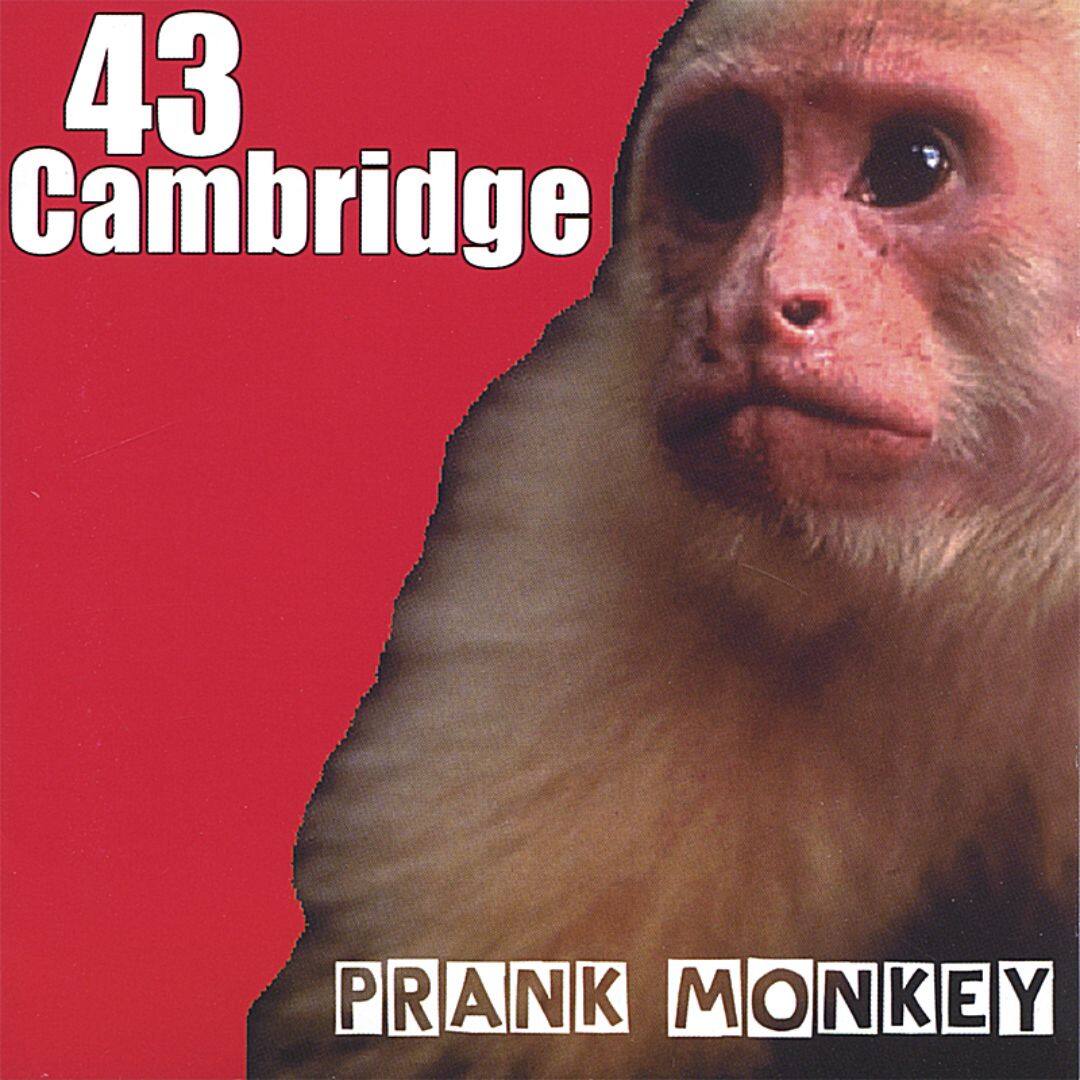 Best Buy: Prank Monkey [CD]