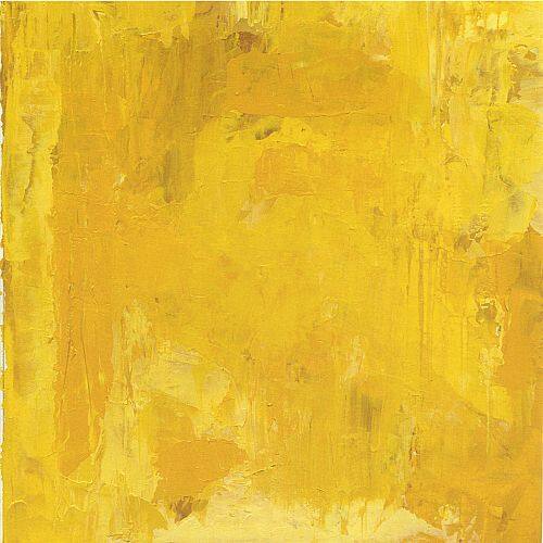 Best Buy: The Yellow Album [CD]