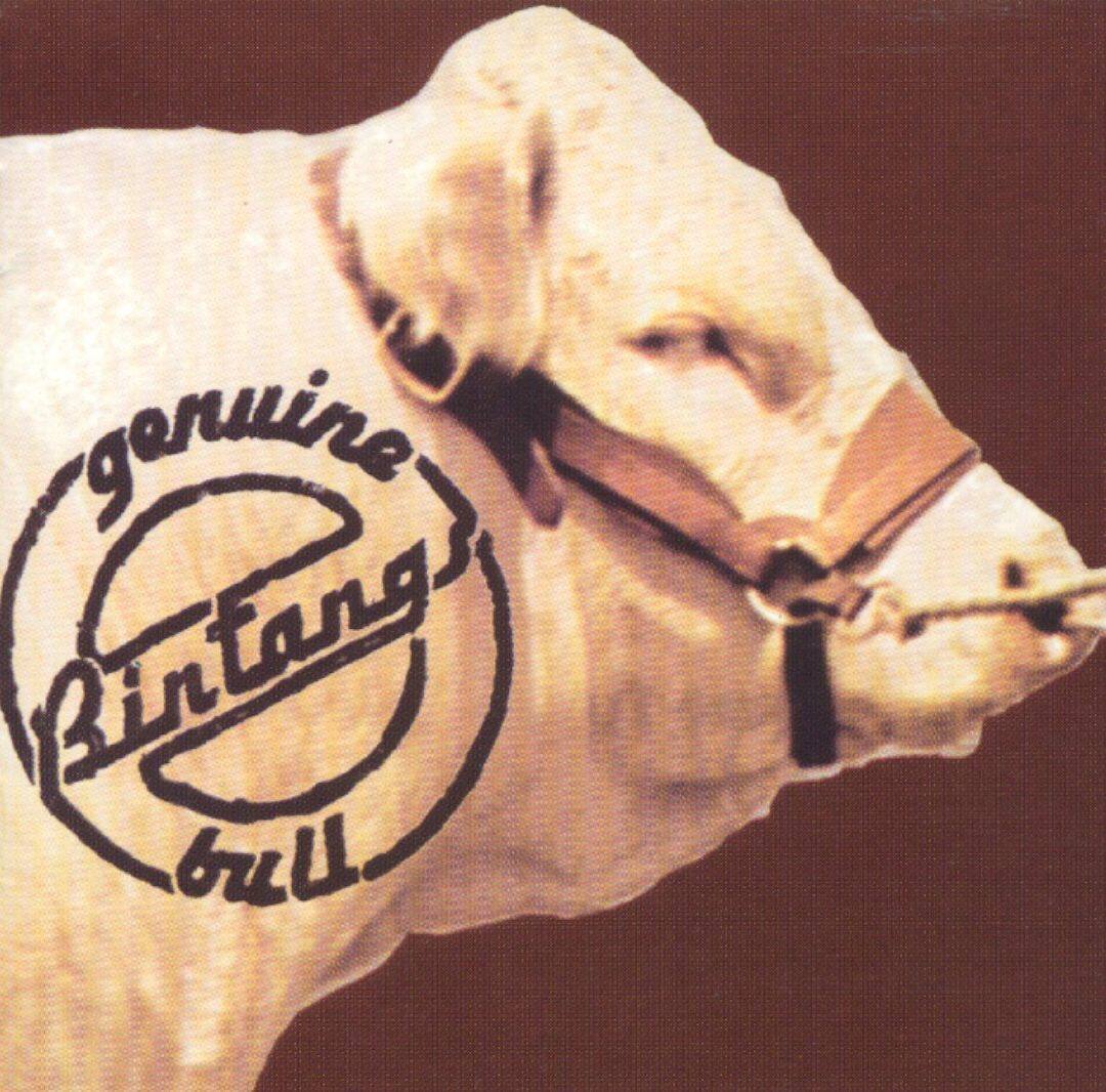 Best Buy: Genuine Bull [CD]