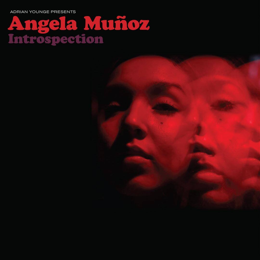 Adrian Younge Presents: Angela Munoz [LP] [VINYL] - Best Buy