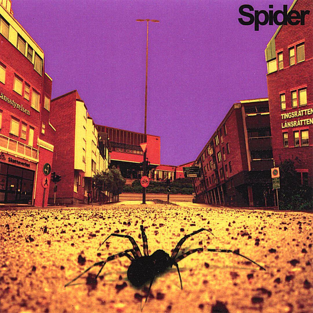 Best Buy: Spider [CD]