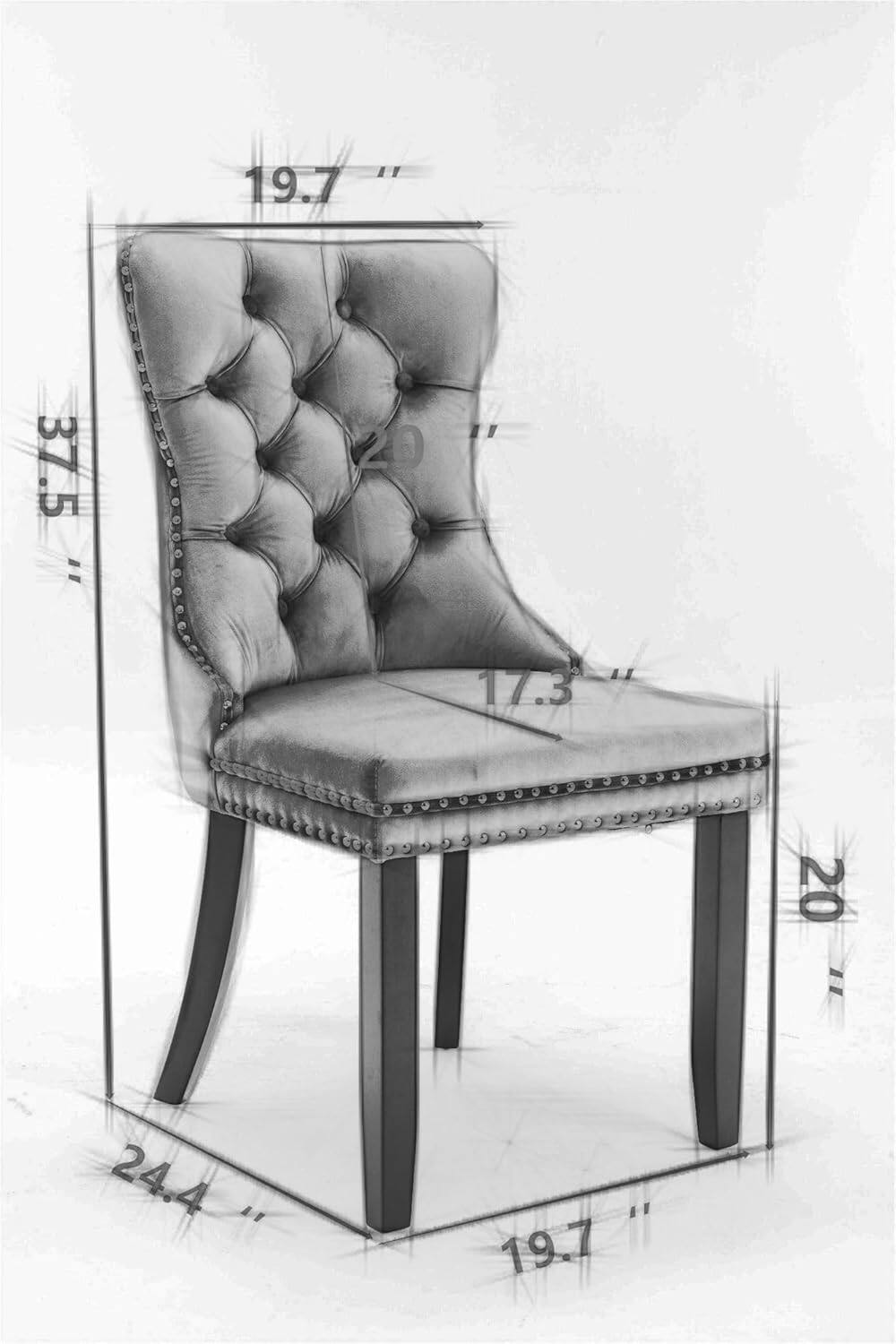 Trinkets Crazed Velvet Dining Chairs Set of 2, Upholstered High end ...
