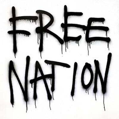 Best Buy: Free Nation [12 inch Vinyl Single]