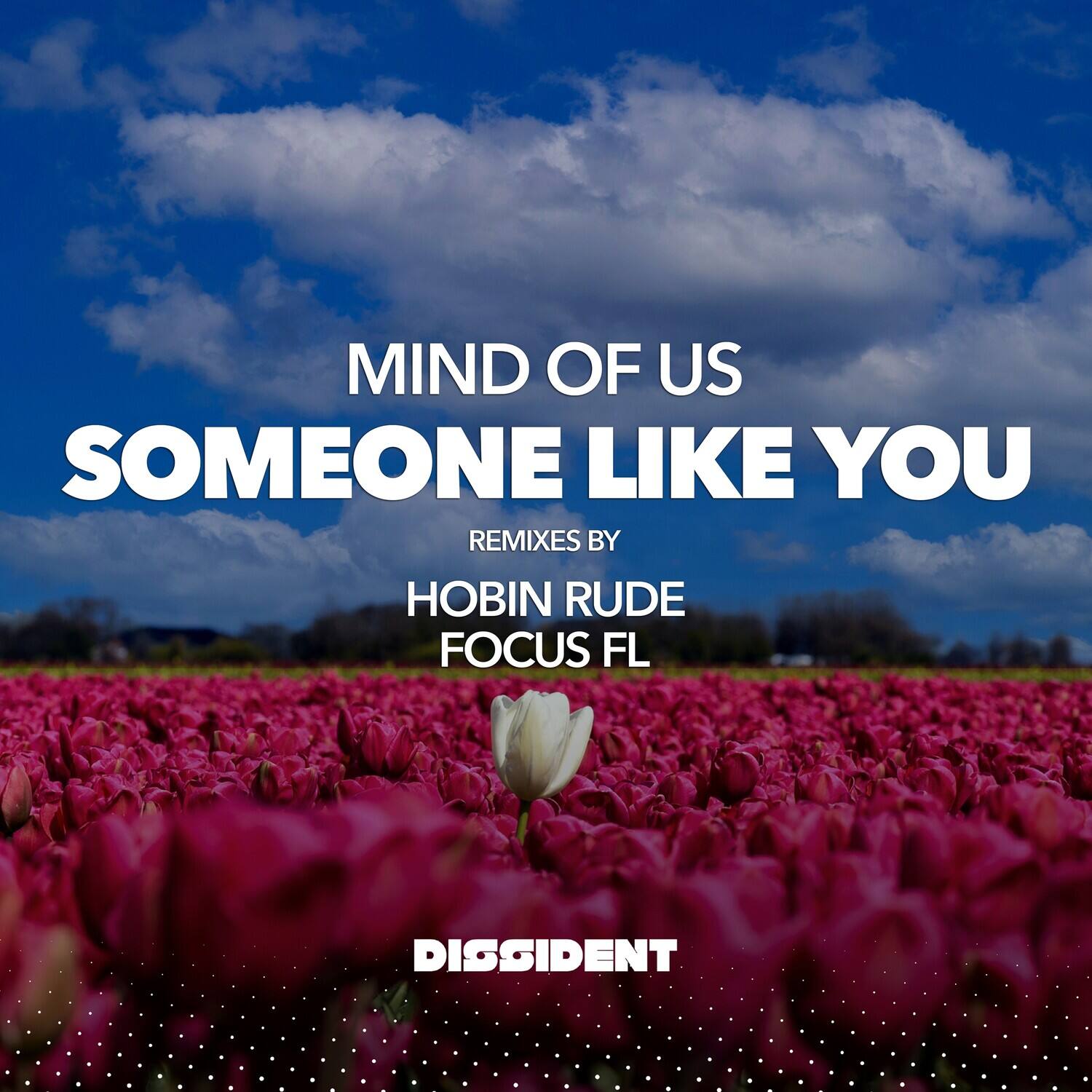 Mind of Us Someone Like You (Streaming Version) COMPACT DISCS [CD ...